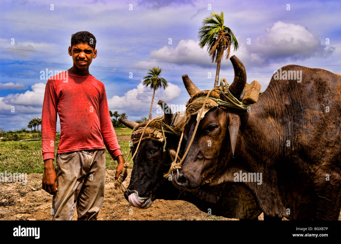Old farming methods hi-res stock photography and images - Alamy