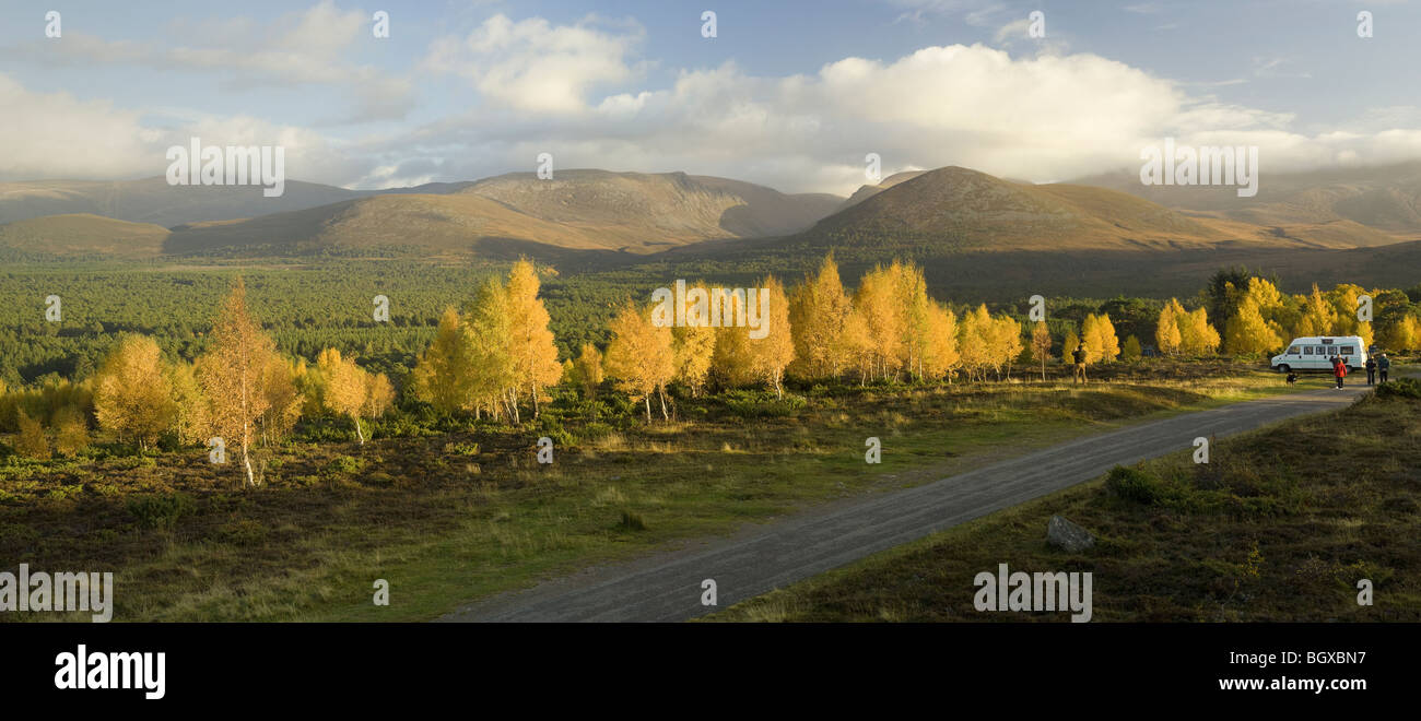 Rothiemurchus Forest and the Cairngorms Stock Photo - Alamy