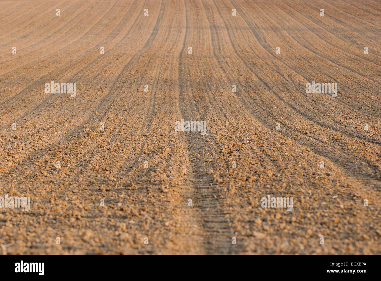 Soil structure hi-res stock photography and images - Alamy