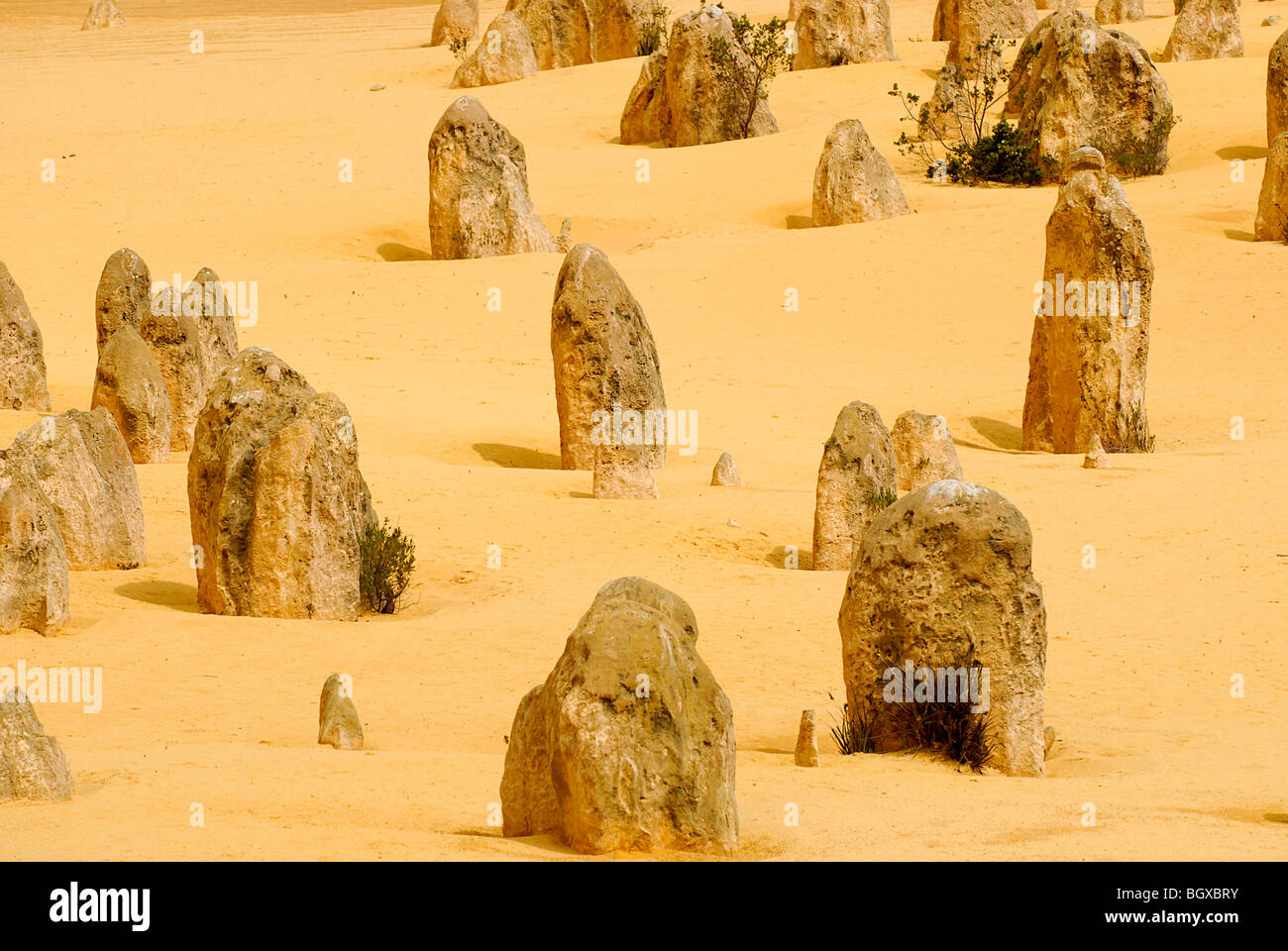 The Pinnacles in Western Australia Stock Photo - Alamy