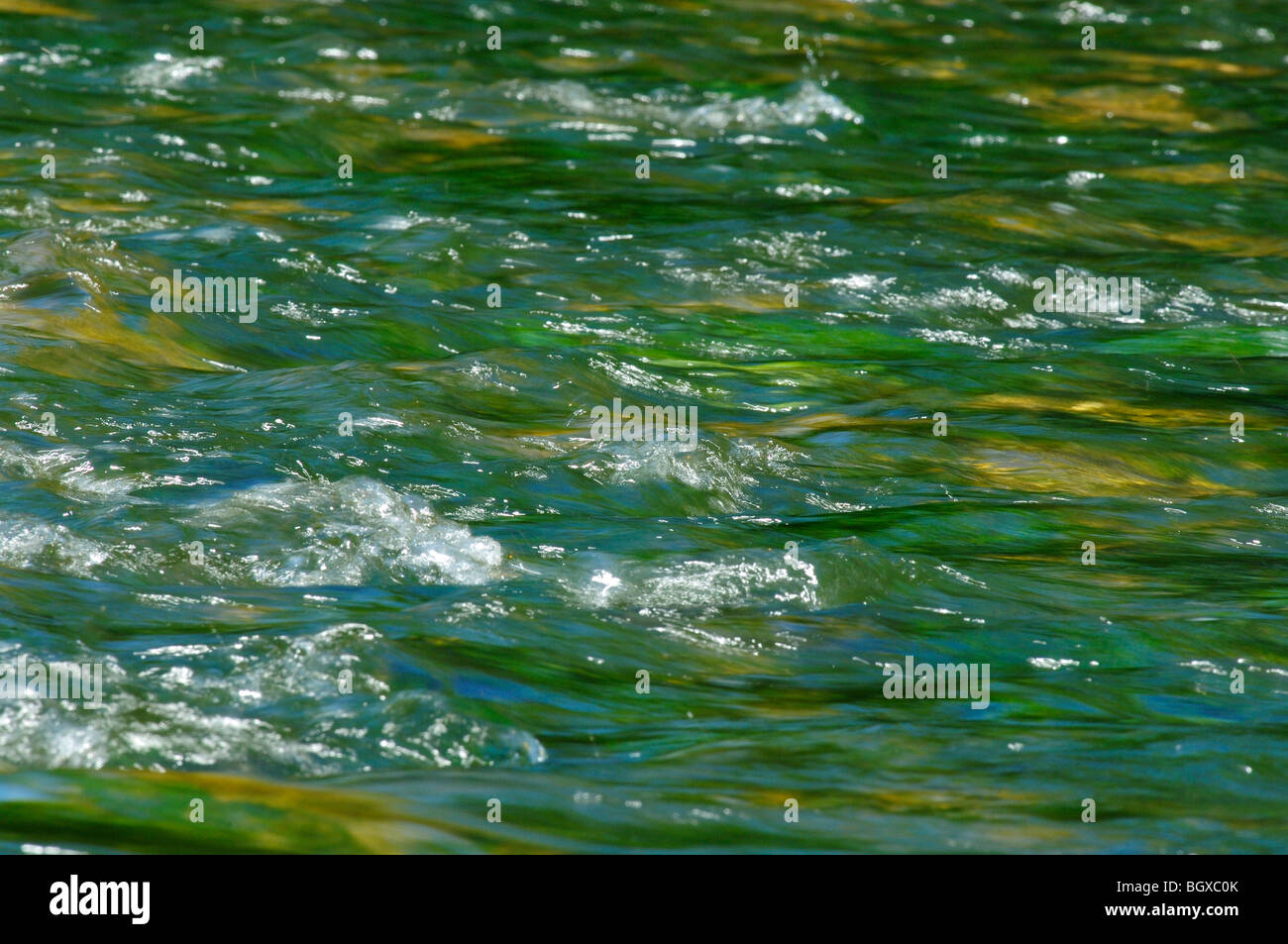 Environment green rivers and waters hi-res stock photography and images ...