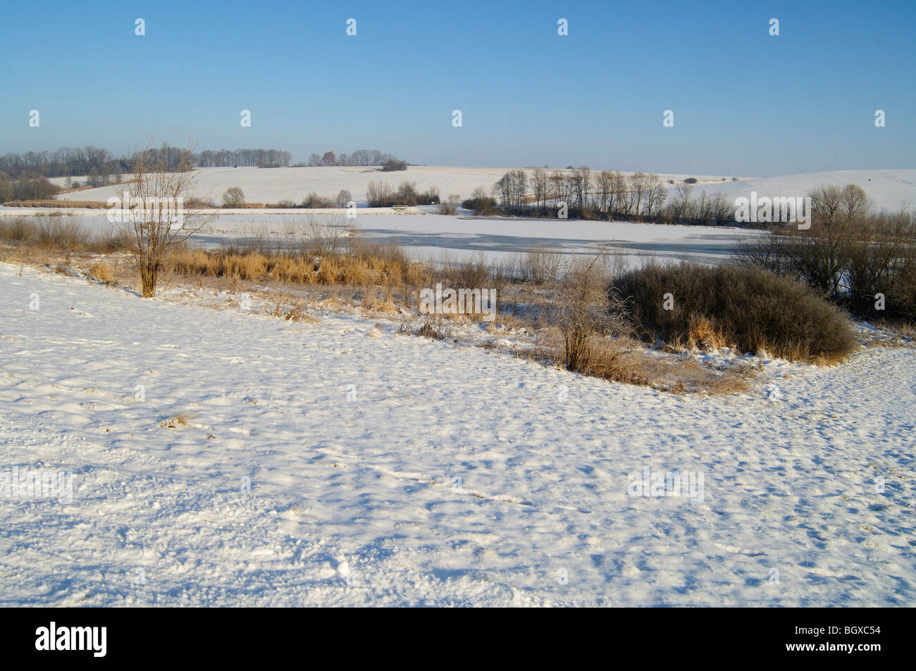 Bucher reservoir habitat Stock Photo - Alamy