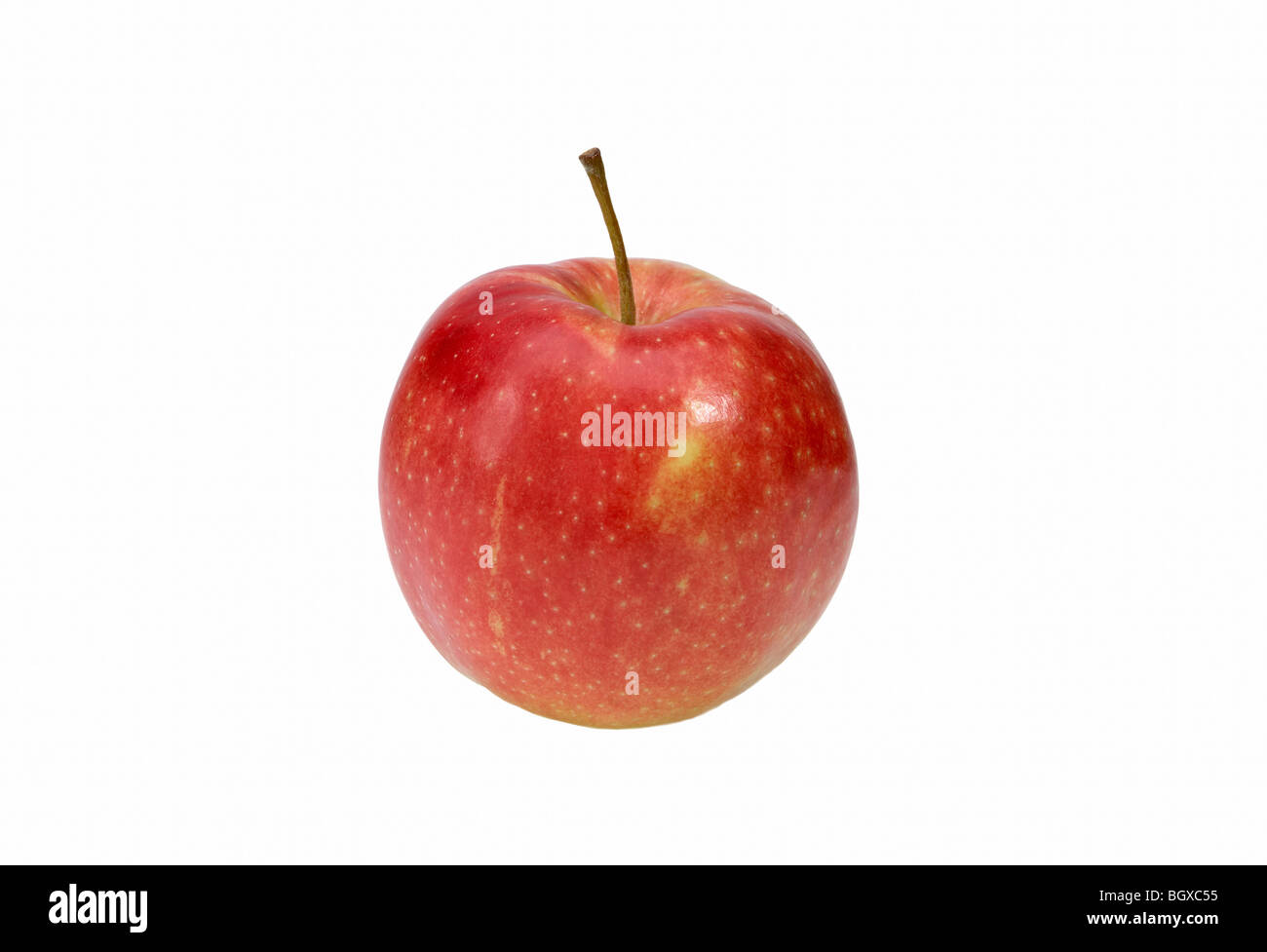 A Jonagold apple Stock Photo - Alamy