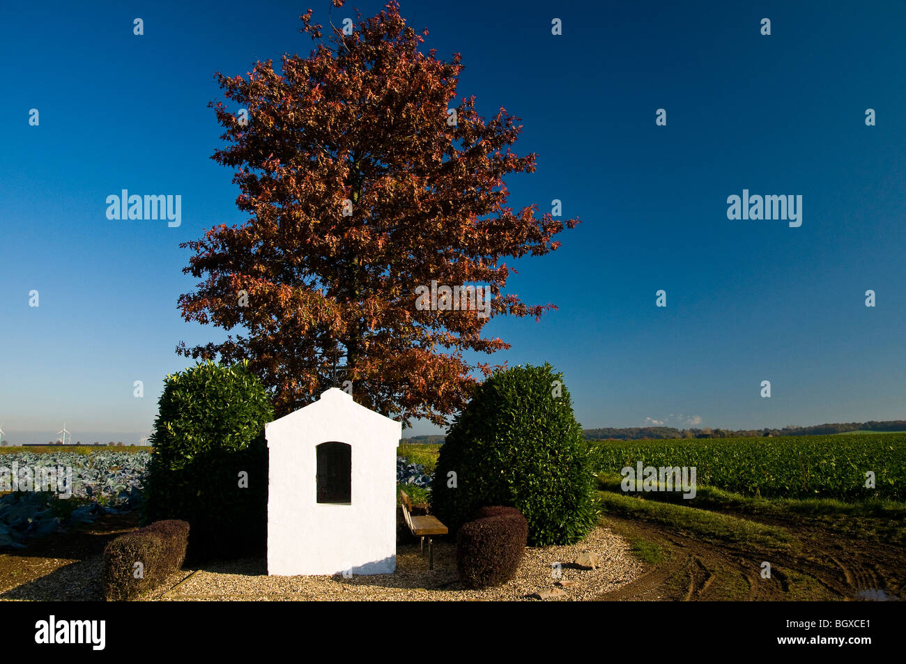 Grit ways hi-res stock photography and images - Alamy