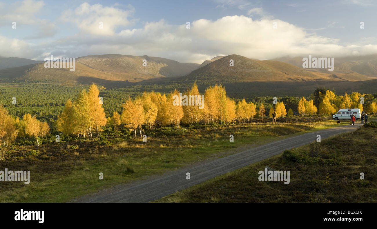 Rothiemurchus Forest and the Cairngorms Stock Photo - Alamy