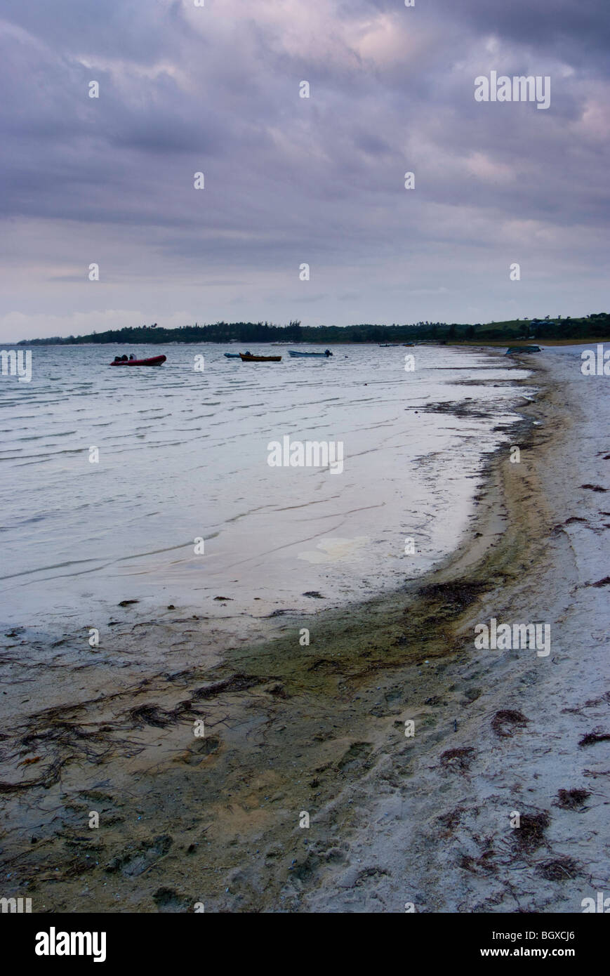 Beline hi-res stock photography and images - Alamy