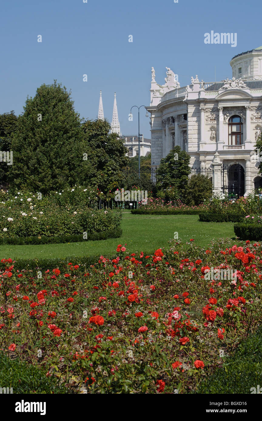 Volksgarten vienna rose roses hi-res stock photography and images - Alamy
