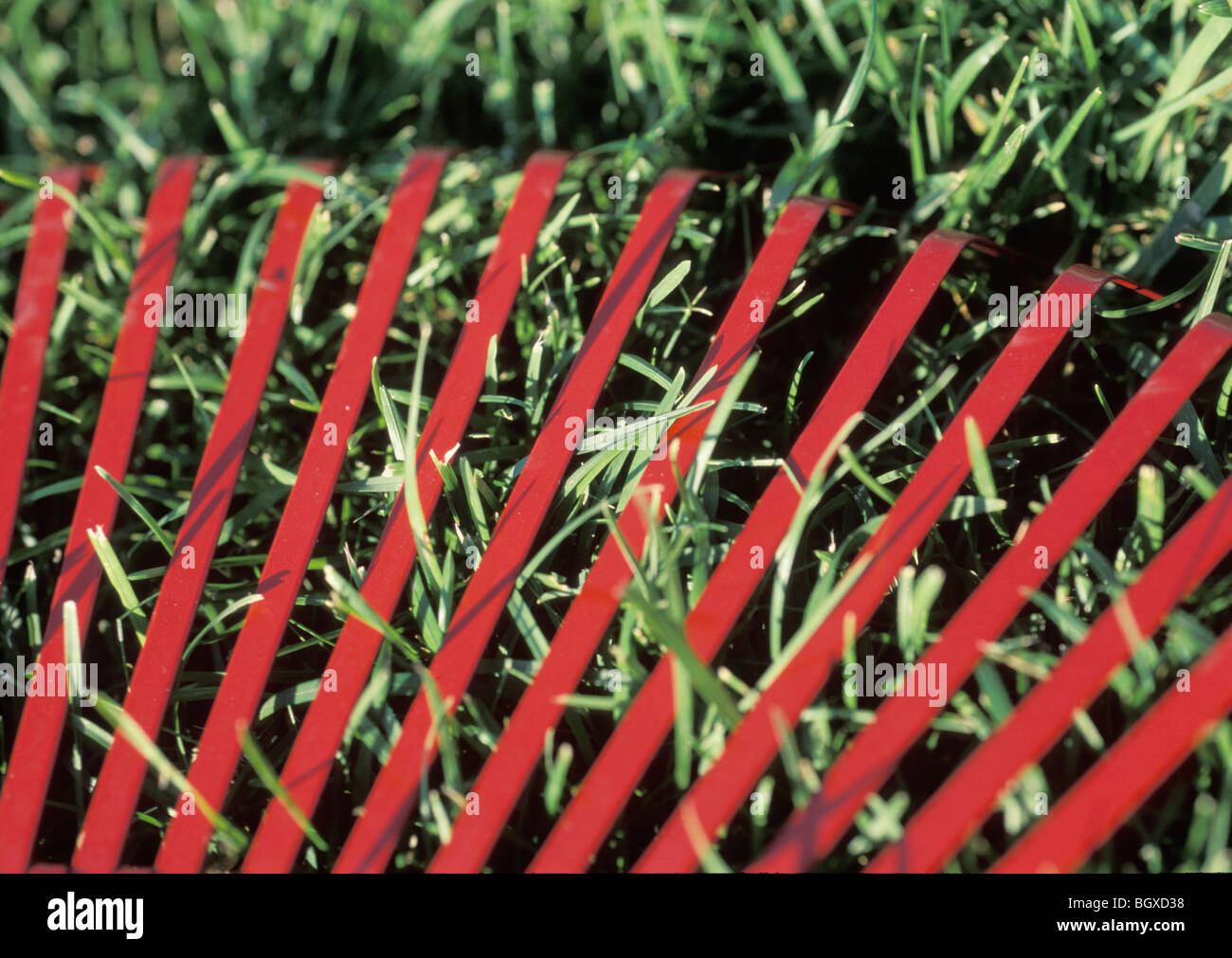 Red rake in the green meadow Stock Photo - Alamy