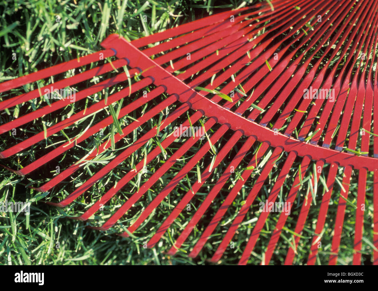 Red red green coalition hi-res stock photography and images - Alamy