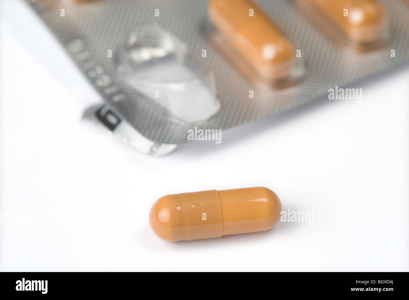 Single swallow hi-res stock photography and images - Alamy