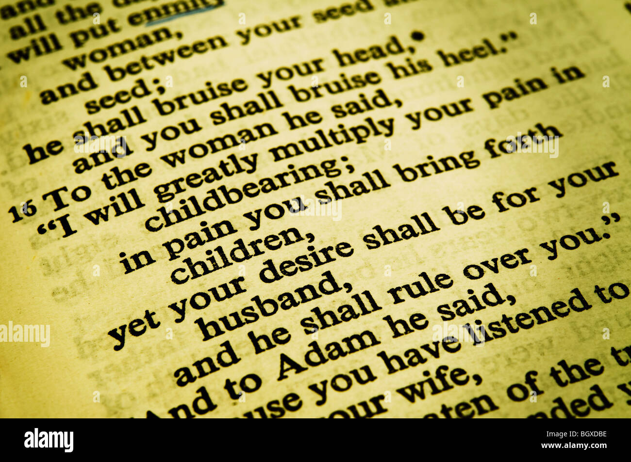 Genesis 3 hi-res stock photography and images - Alamy