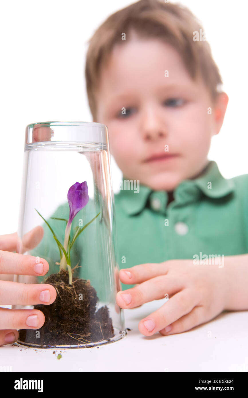 Human protections hi-res stock photography and images - Alamy