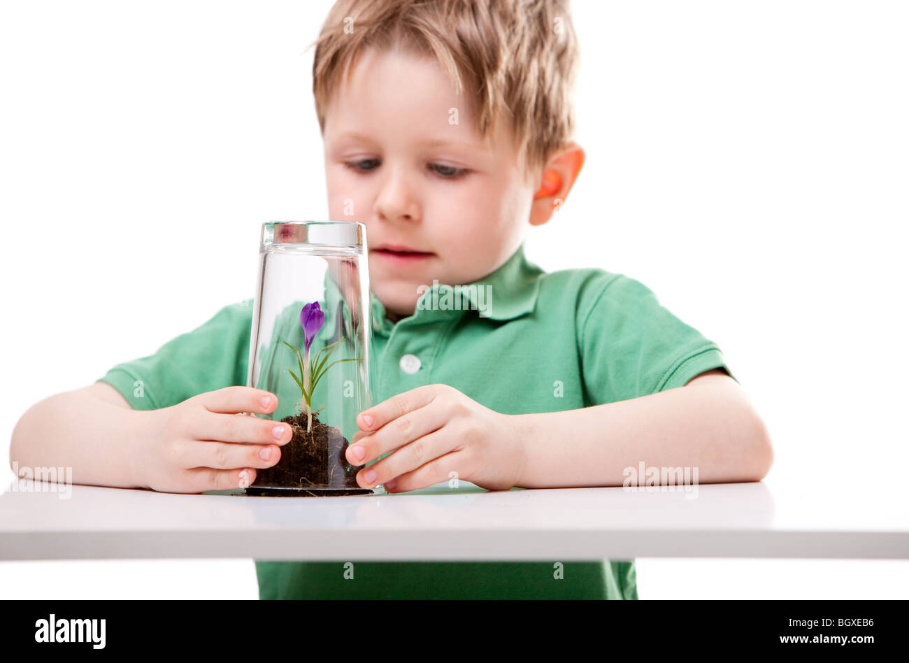 Human protections hi-res stock photography and images - Alamy