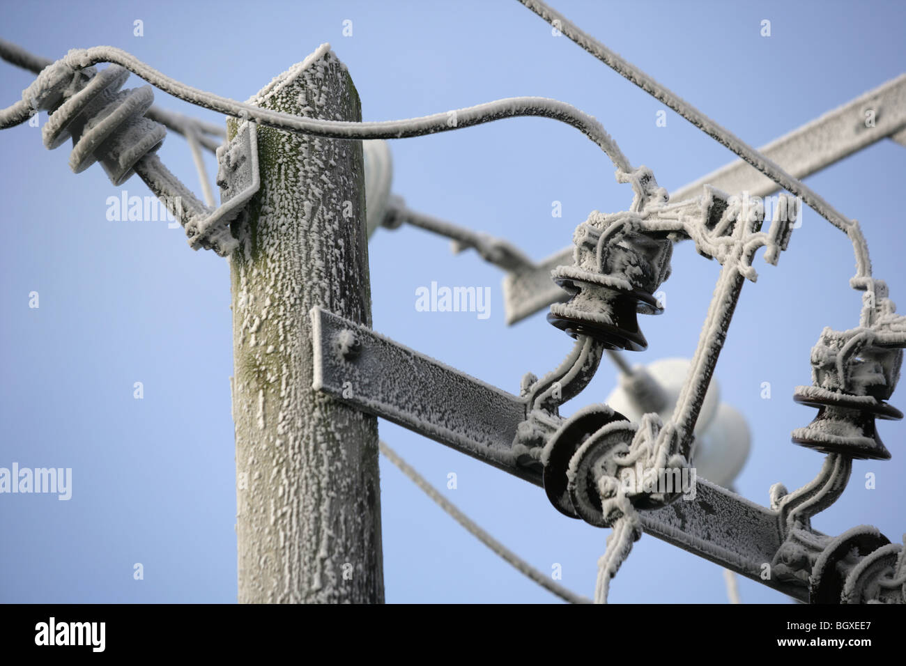 close up of wooden electricity pole covered in frost Stock Photo - Alamy