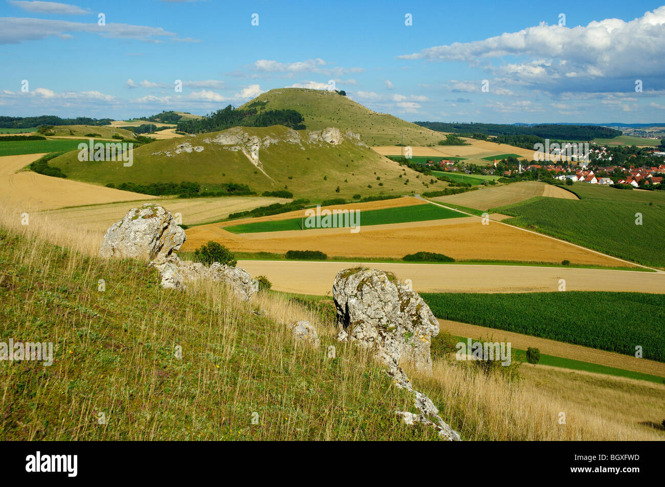 Ipf at the hi-res stock photography and images - Alamy