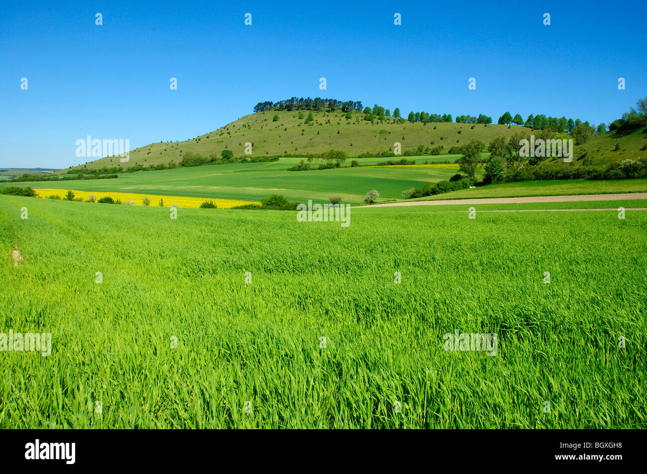 Ipf hi-res stock photography and images - Alamy