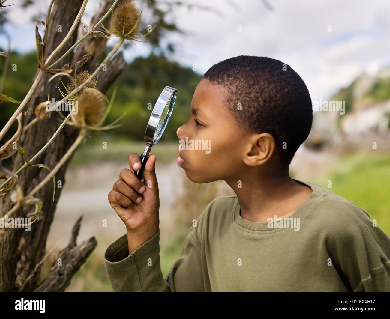 boy investigating nature Stock Photo - Alamy