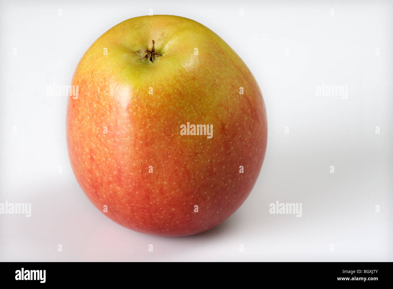 Elstar hi-res stock photography and images - Alamy