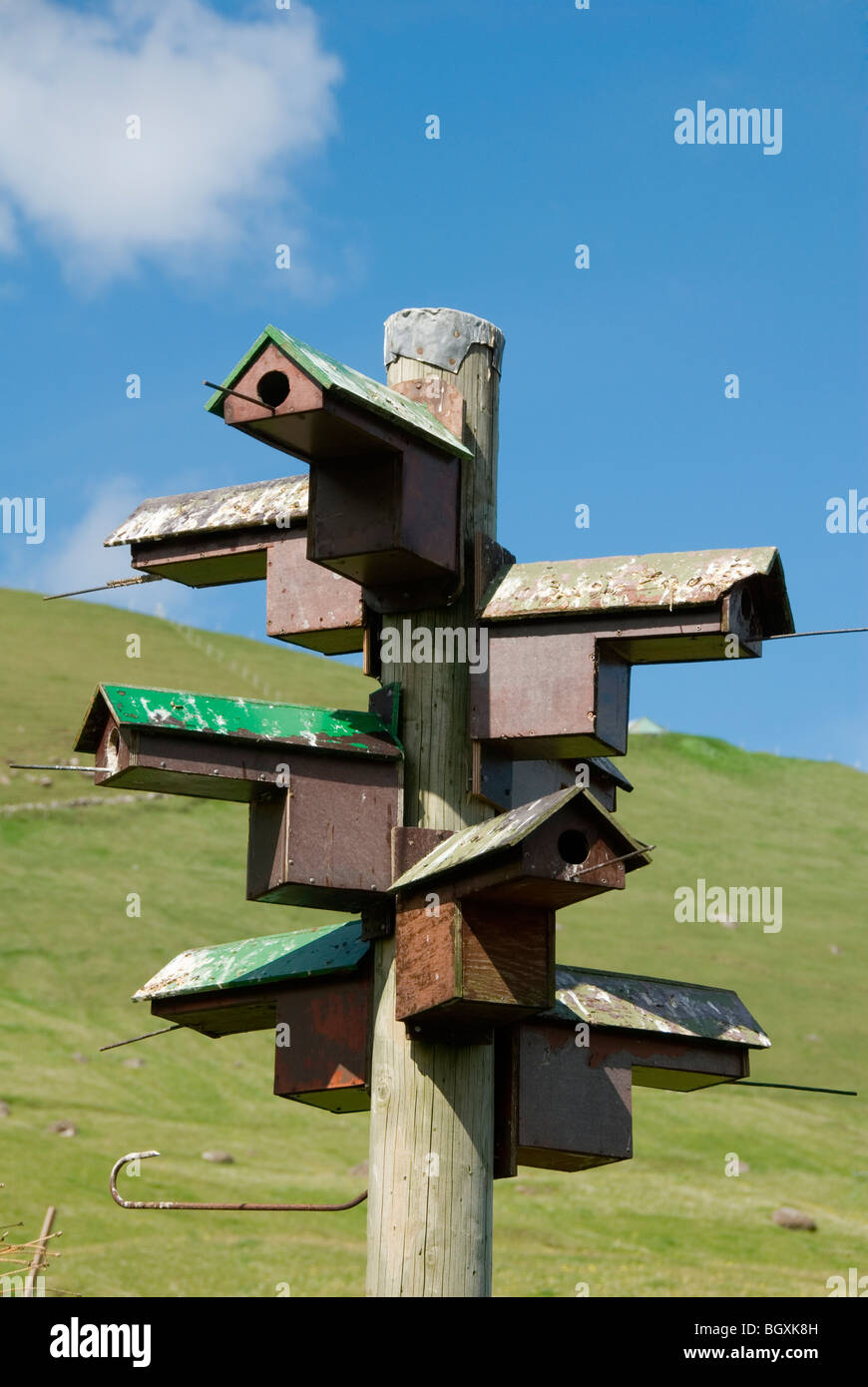 Nesting boxes hi-res stock photography and images - Alamy