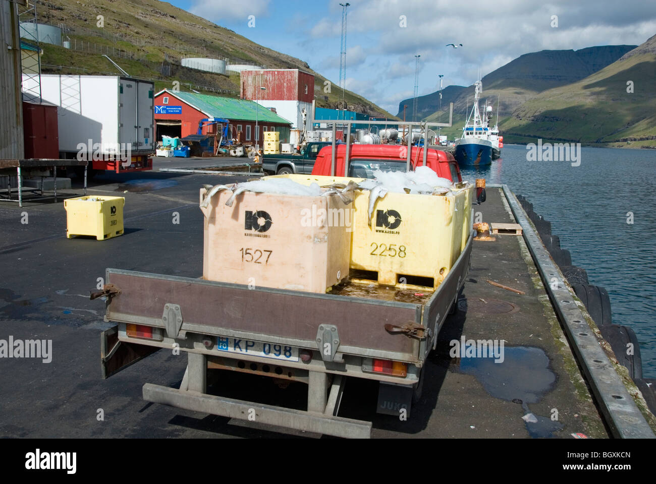 Fish loading hi-res stock photography and images - Alamy
