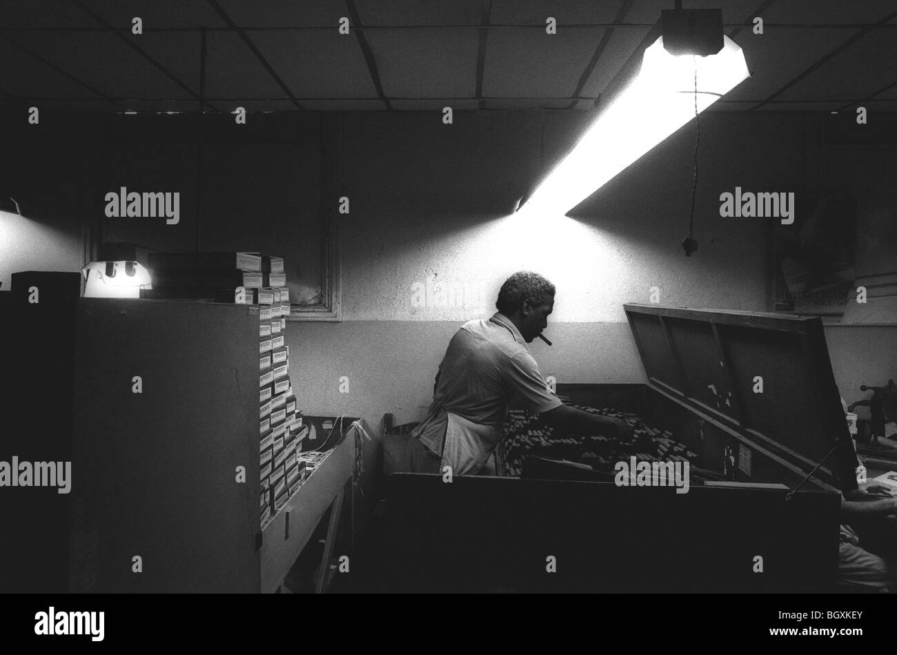 Workers in the H. Upmann Habanos SA cigar factory, Havana, Cuba, May ...