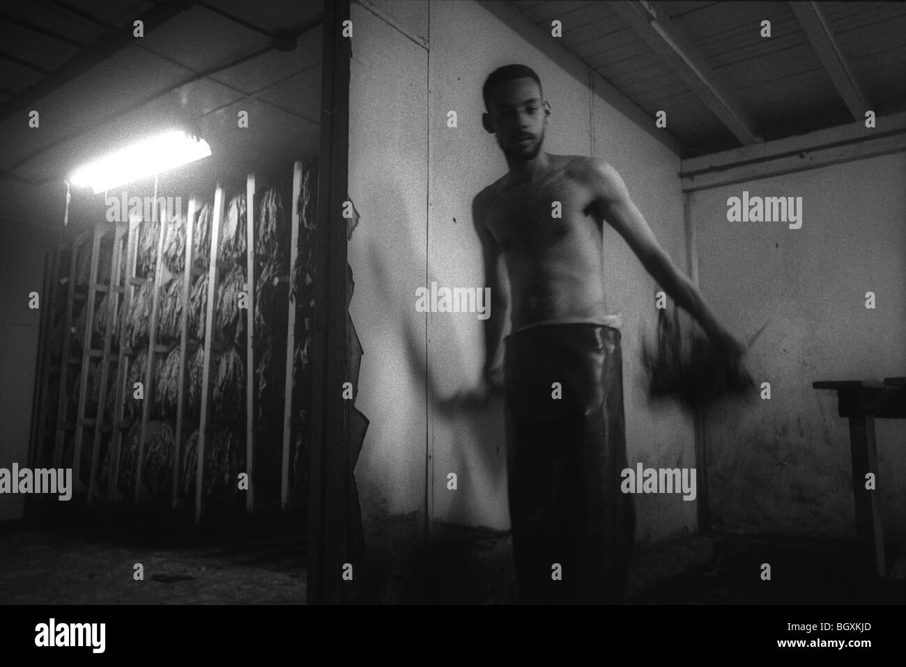 H upmann cigar Black and White Stock Photos & Images - Alamy