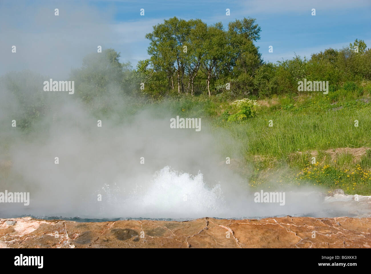 Geyser geothermal area hi-res stock photography and images - Alamy