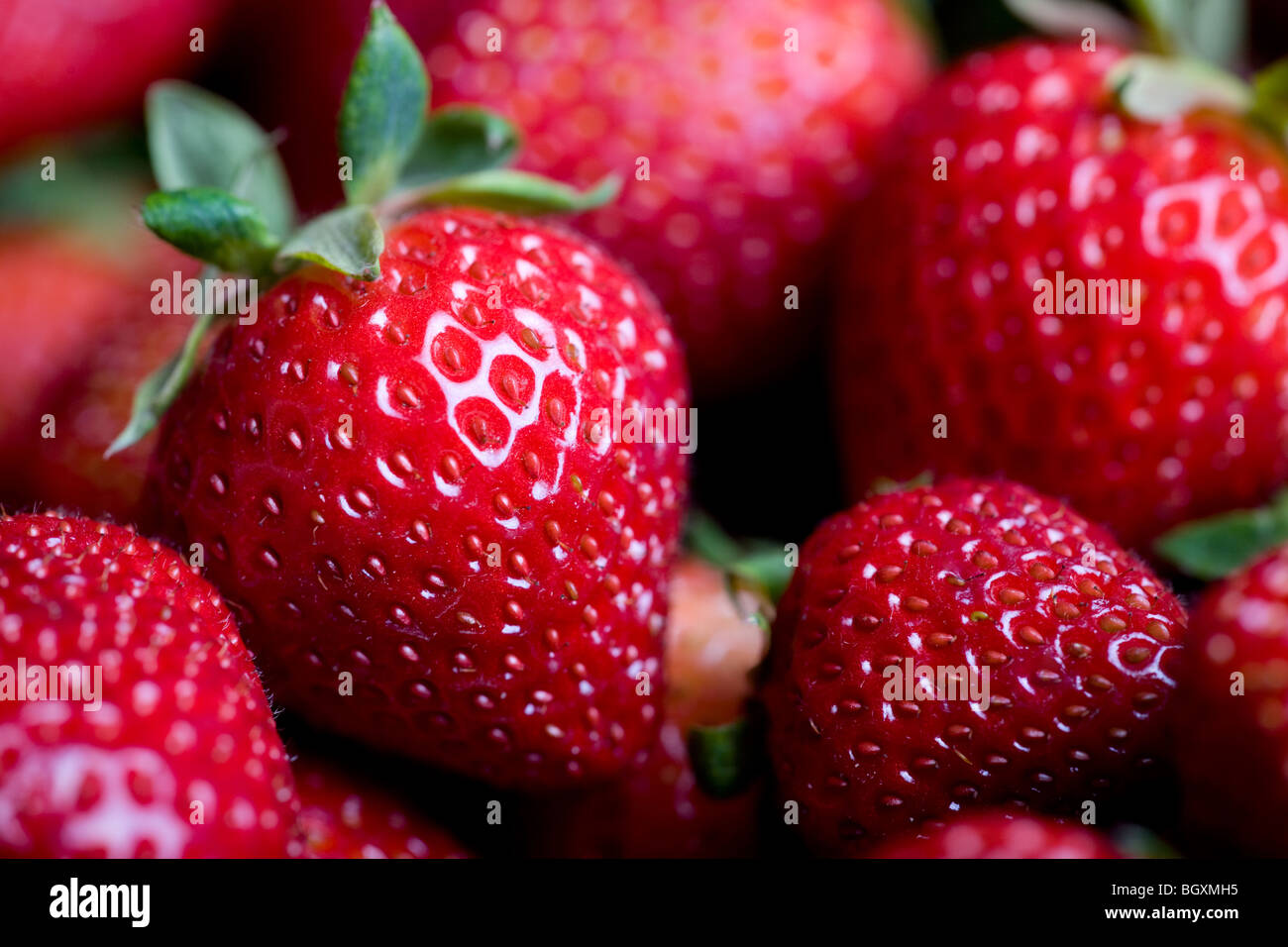 Close ups strawberries hi-res stock photography and images - Alamy