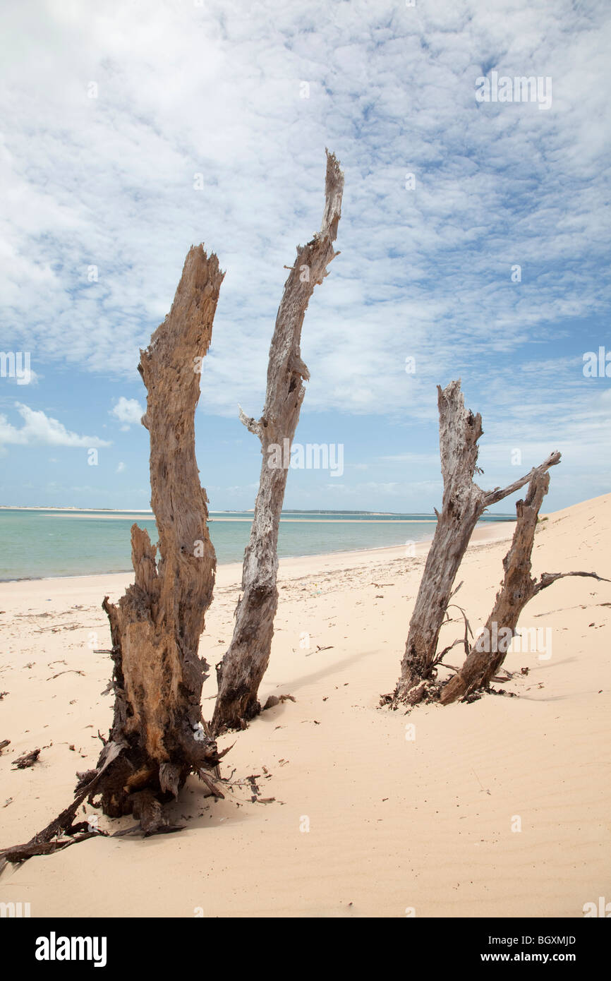 Bazaruto island hi-res stock photography and images - Alamy