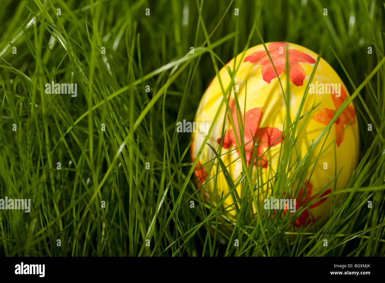 Yellow Easter egg Stock Photo - Alamy