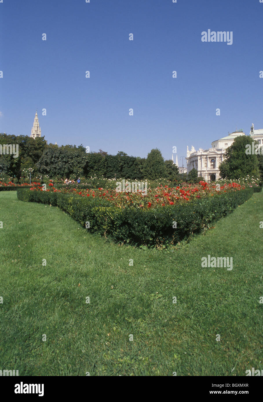 Volksgarten vienna rose roses hi-res stock photography and images - Alamy