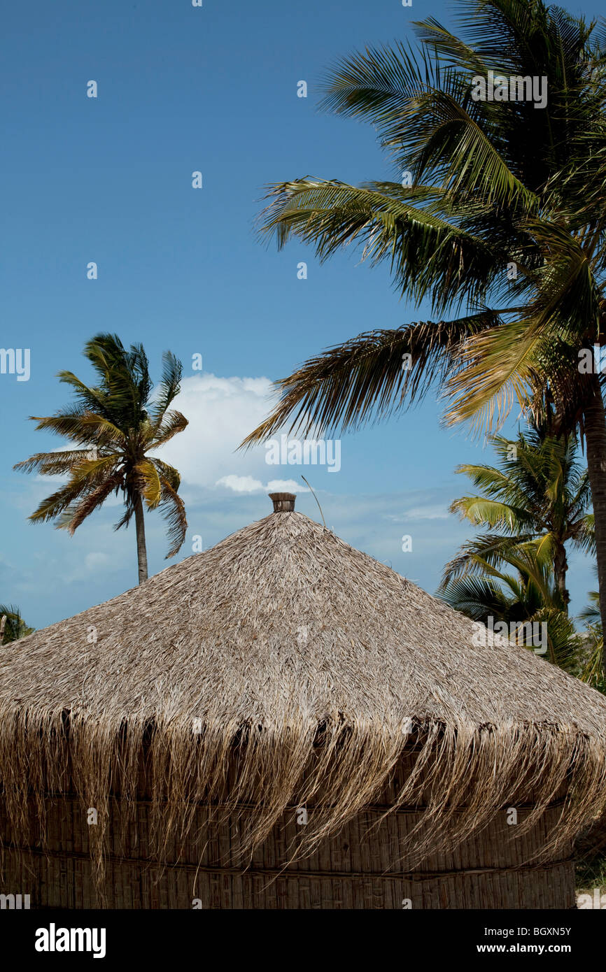 The roof on a traditional hut in Vilanculos, Mozambique, East Africa ...