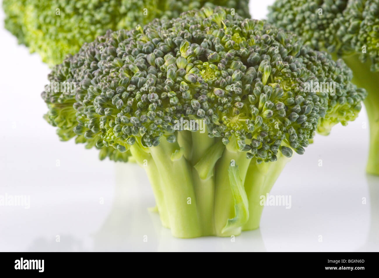 Part of the cabbage family hi-res stock photography and images - Alamy