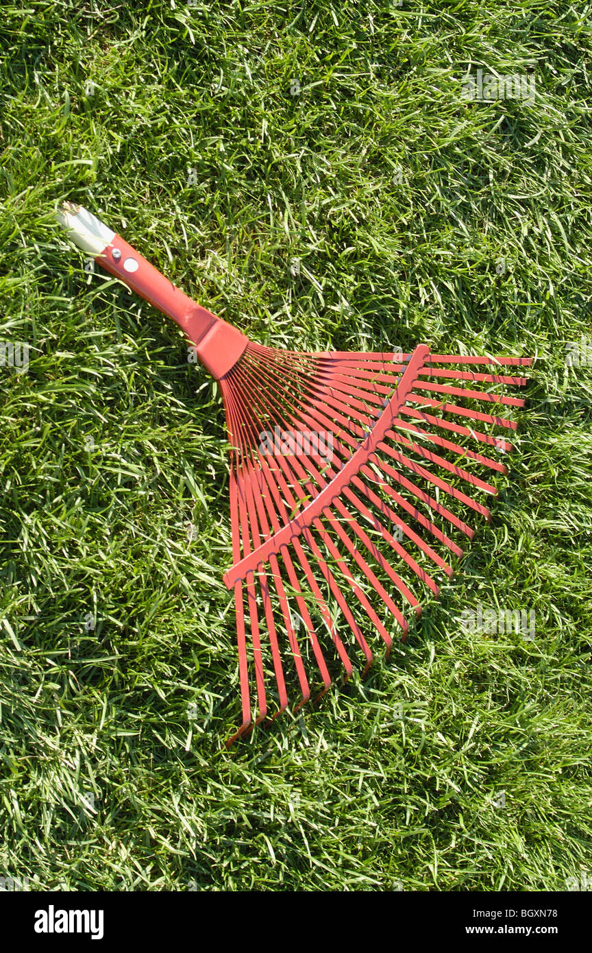 Red rake in the green meadow Stock Photo - Alamy