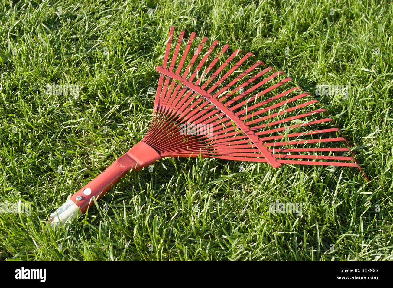 Red rake in the green meadow Stock Photo - Alamy