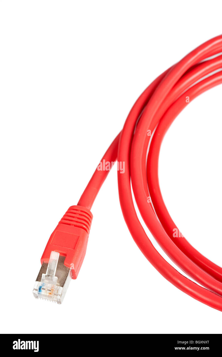 Red network cable with shadow on white background. Shallow depth of ...