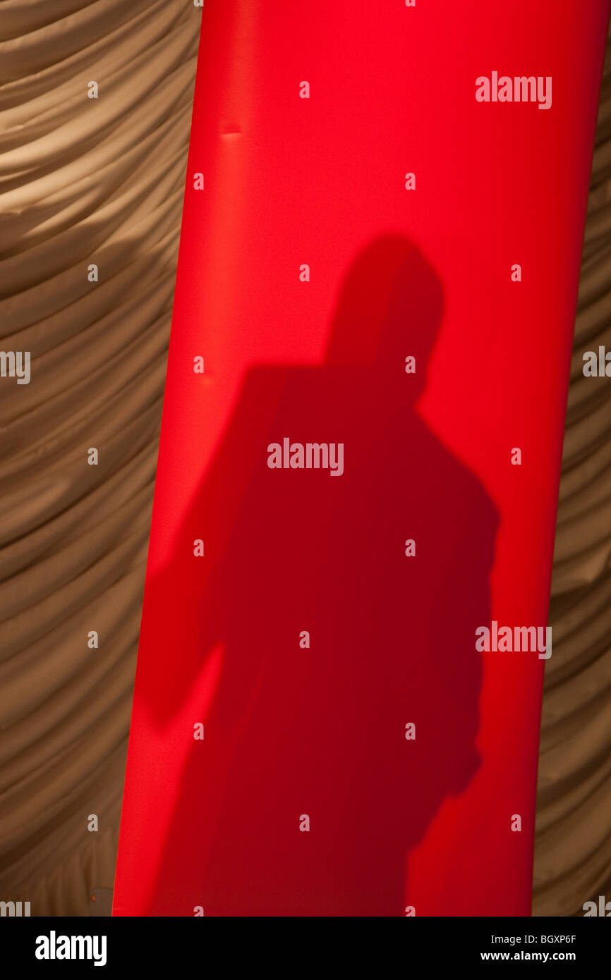 Non human hi-res stock photography and images - Alamy