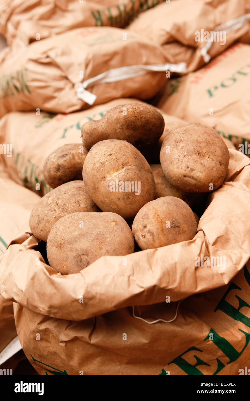 Sack Of Potatoes Stock Photos & Sack Of Potatoes Stock Images - Alamy Sack Of Potatoes Stock Photos & Sack Of Potatoes Stock Images - Alamy