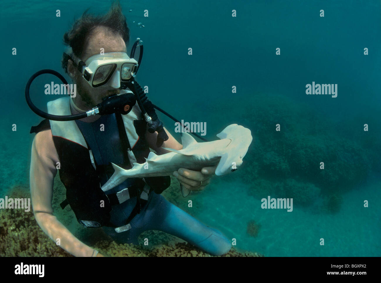 Marine Biologists At Work With Sharks