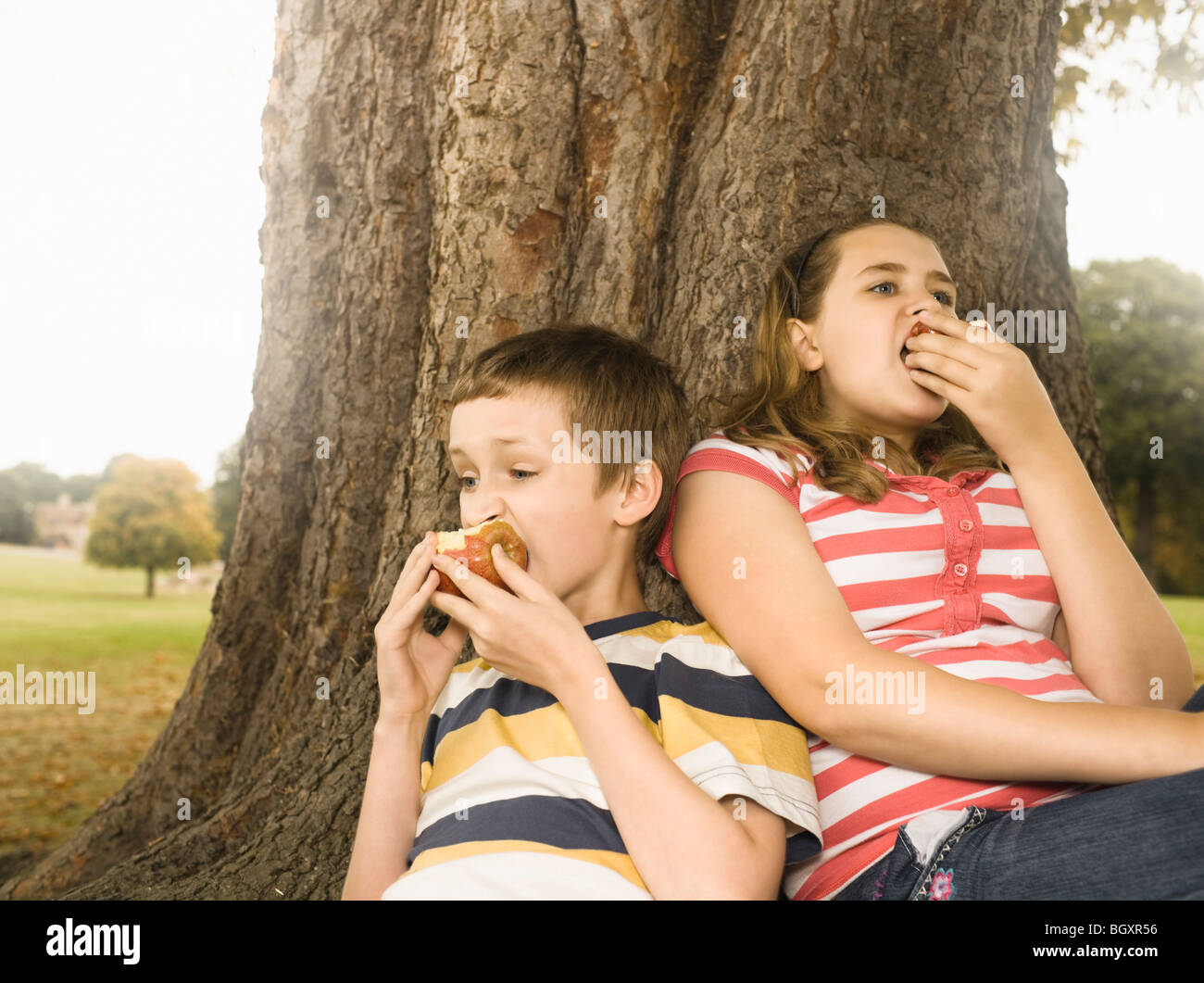Boy and girl eating apples against tree Stock Photo - Alamy