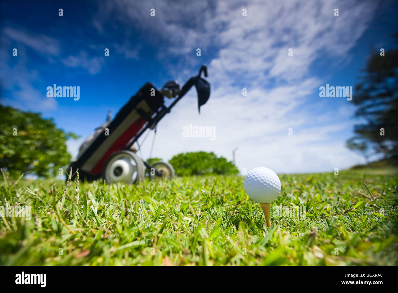 Grasses golf hi-res stock photography and images - Alamy