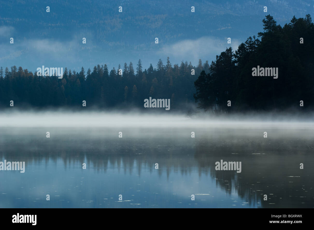 Loon Lake at Dawn-Thompson Chain of Lakes-Montana Stock Photo - Alamy