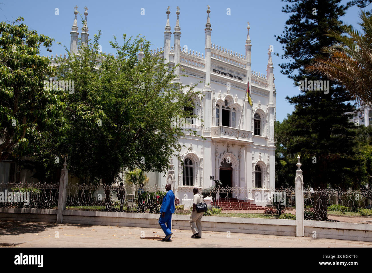 Natural history, Maputo, Mozambique, East Africa Stock Photo - Alamy