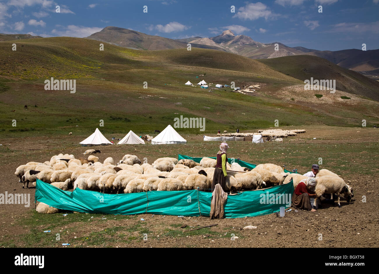 Turkish nomads hi-res stock photography and images - Alamy