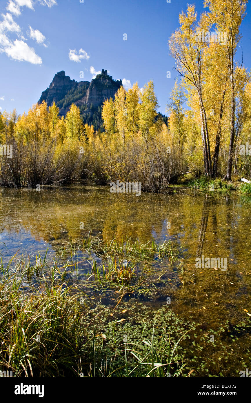 An unnamed peak reflects into the East Fork of the Cimarron River Stock ...