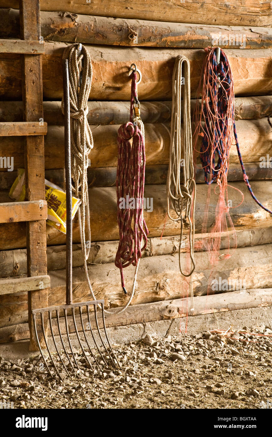 Ropes hang in a horse stable Stock Photo - Alamy