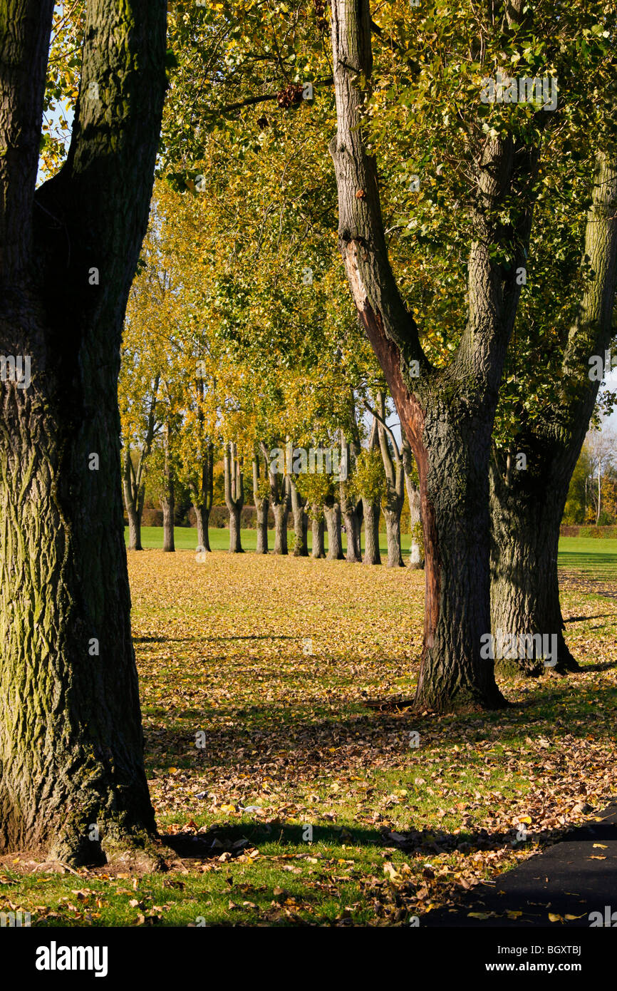Donnington, Telford, Shropshire Stock Photo - Alamy