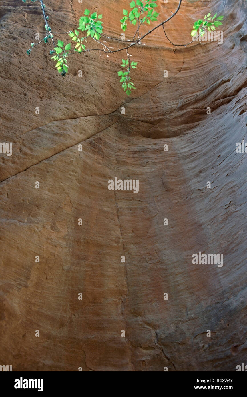 Spring formation hi-res stock photography and images - Alamy
