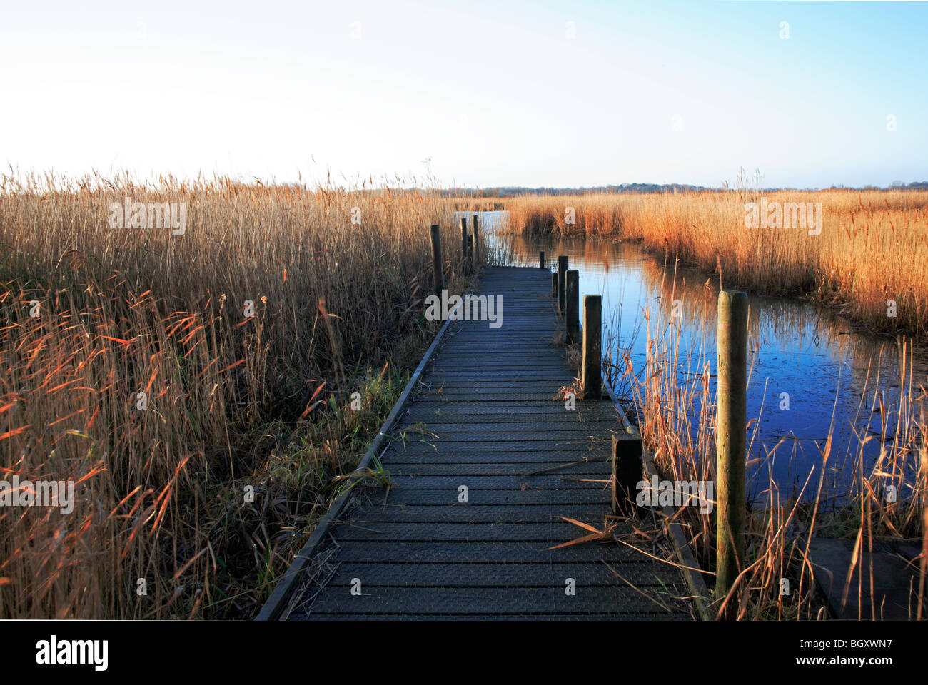 A channel through reed beds to a small staithe by the edge of Hickling ...