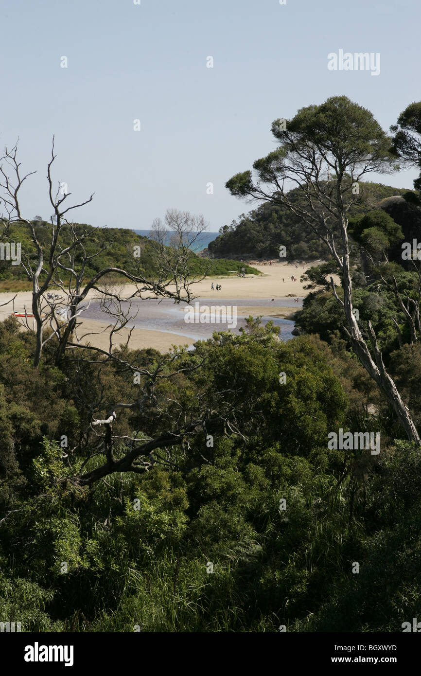 Australian Beach Water trees nature reserve Stock Photo - Alamy